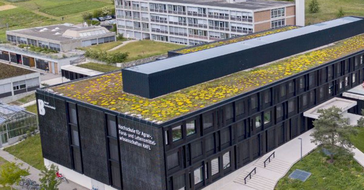 HAFL: Über die Alumni HAFL | Alumni BFH